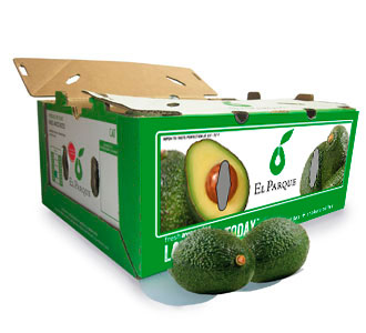 Avocados | El Parque